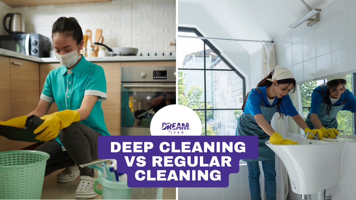 Deep Cleaning vs Regular Cleaning ≫ Denver Insights